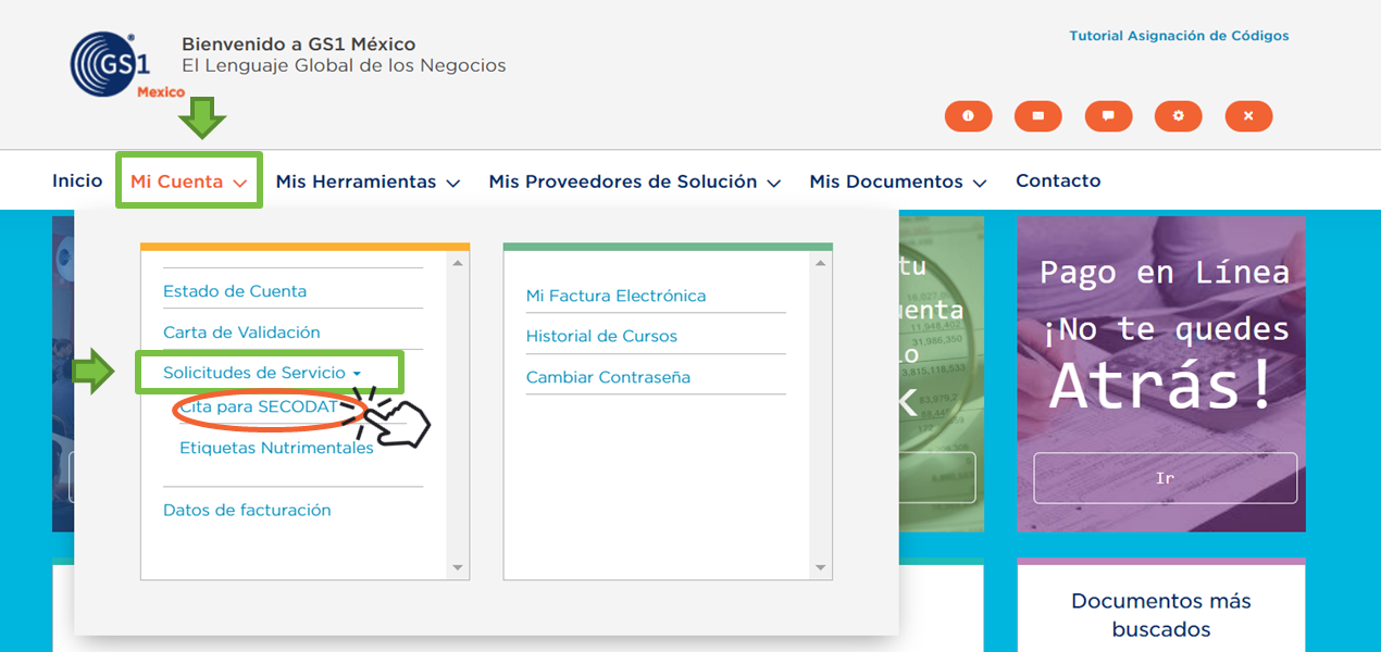 Guía para Generar Citas – GS1 México